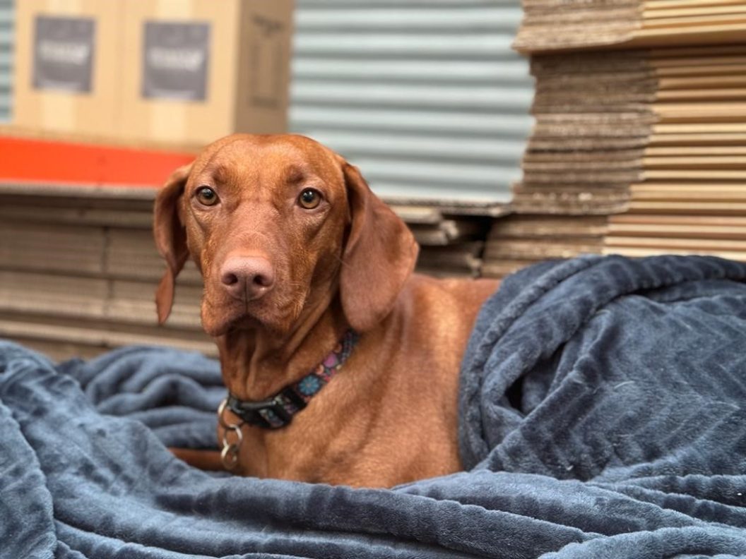 About us - Fenwick & Tilbrook