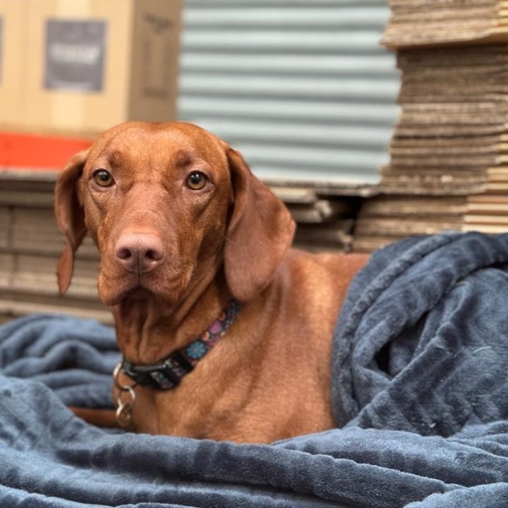 About us - Fenwick & Tilbrook